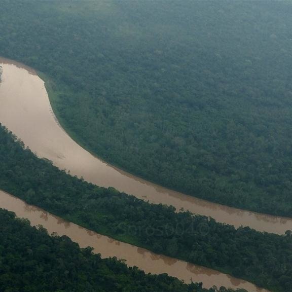 Ecuador: Contaminación en el río Napo por minería ilegal y desechos ...