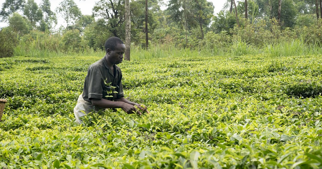 Uganda: CSOs claim Agilis Partners forcibly evicting local communities ...