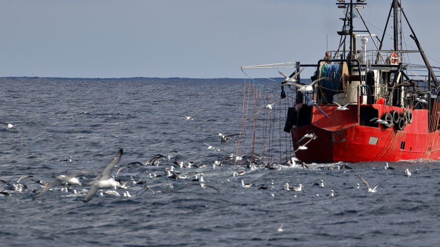 Worked To Death: How a Chinese tuna juggernaut crushed its Indonesian ...