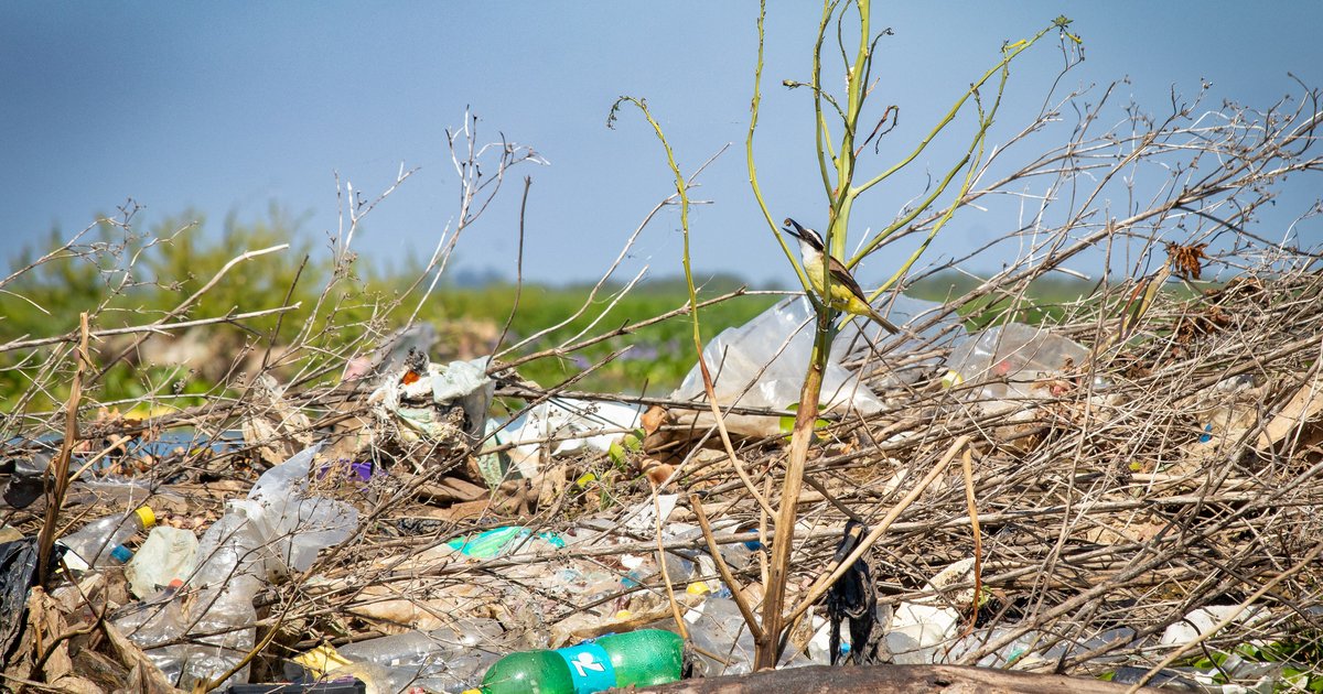República Dominicana: Relator de la ONU sobre sustancias tóxicas ...