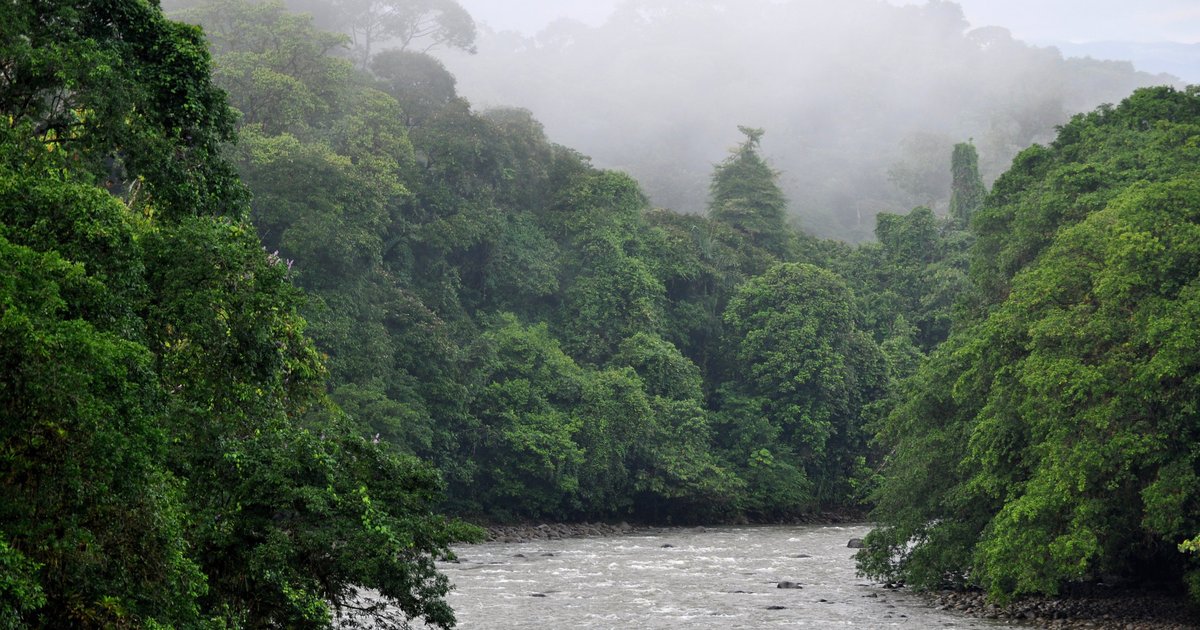 Costa Rica: Sigma Alimentos enfrenta proceso legal por presuntos ...