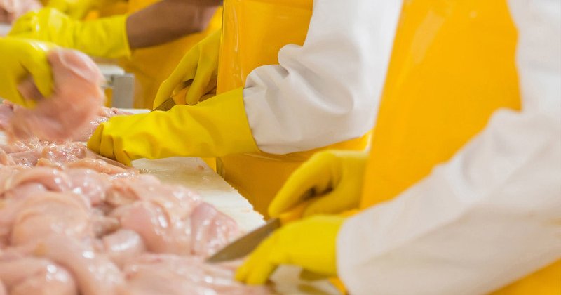 Thailand: Poultry processing co. loses defamation suit following ...