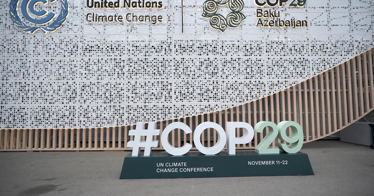 The COP29 finance agreement must drive new action for corporate human ...