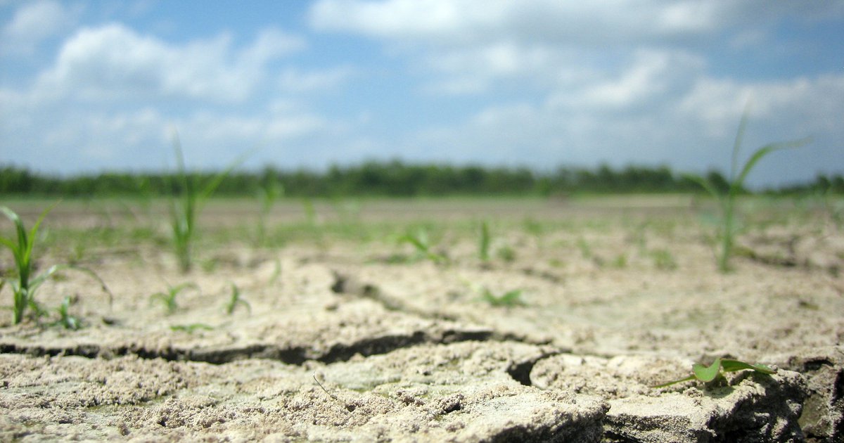 Climate change-related events undermine children’s educational ...