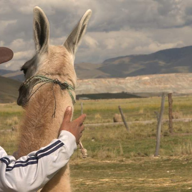 Peru: Amnesty International launches report revealing high levels of ...