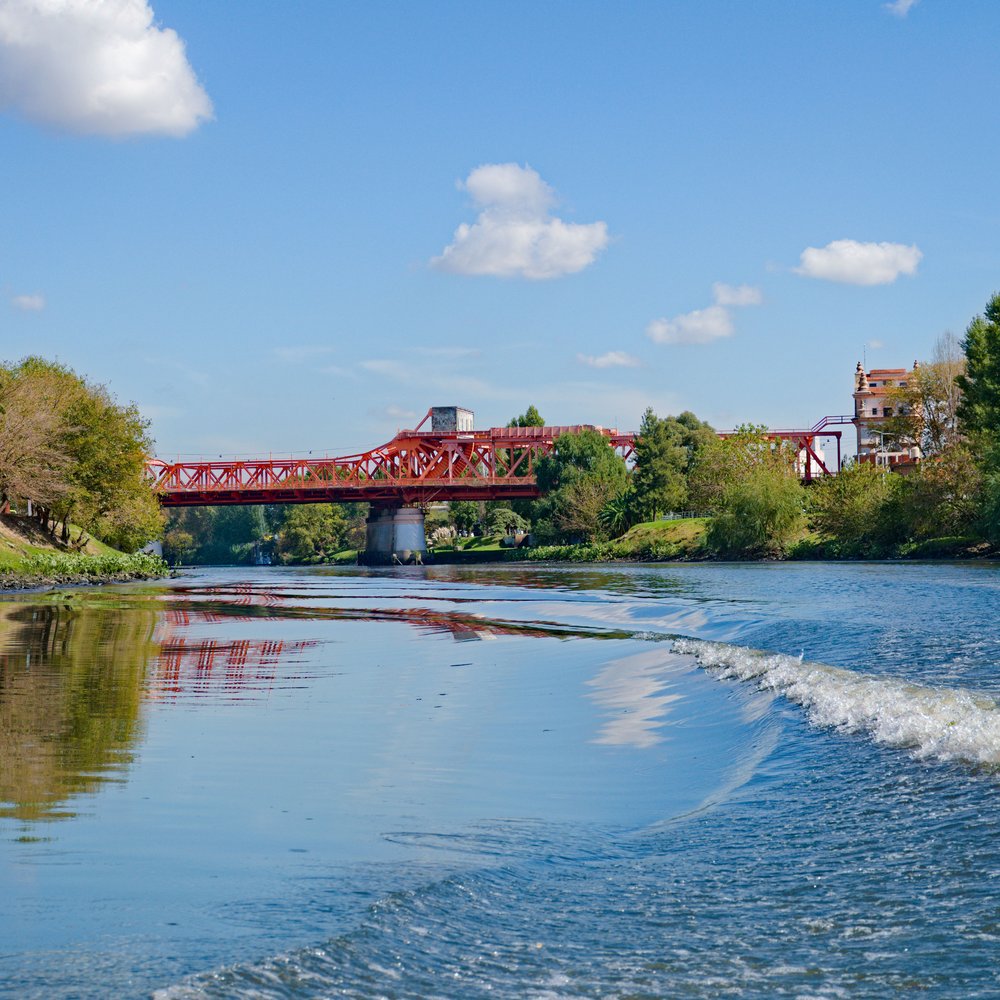 Argentina: Personas expertas alertan sobre los riesgos de la resolución ...