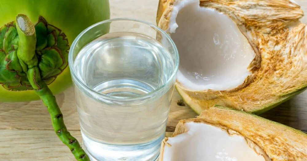 Brasil: Atividades da Ducoco em Terra Indígena no Ceará seriam ...