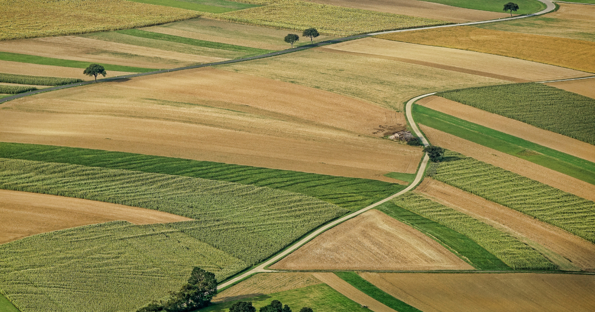 UK: Leading supermarkets linked to farm allegedly housing seasonal ...