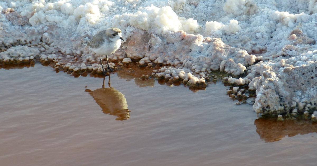 Los abusos de los derechos humanos no pueden ser el precio a pagar por ...