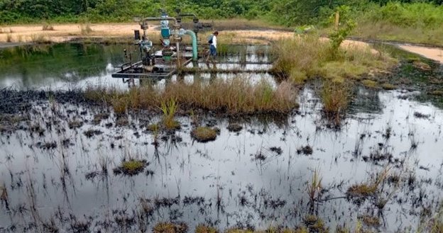 Peru: Amazon indigenous groups seek remedy through state action against ...