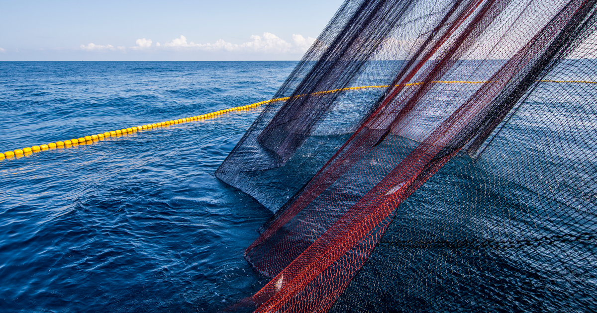 Colombia: Ministerio del trabajo sella buques de Seatech International ...