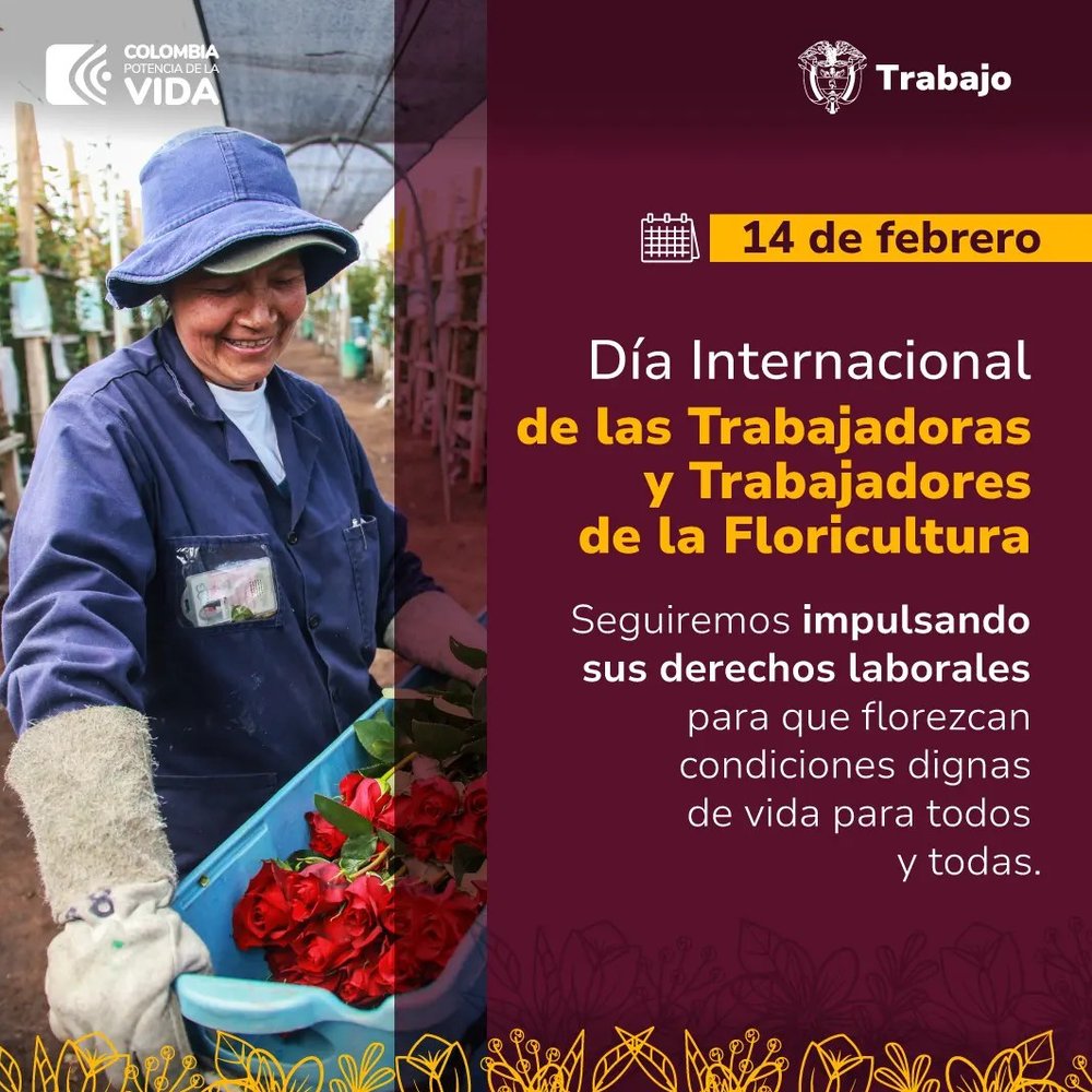 Colombia: Ministerio del Trabajo realiza inspección a cultivo de flores ...