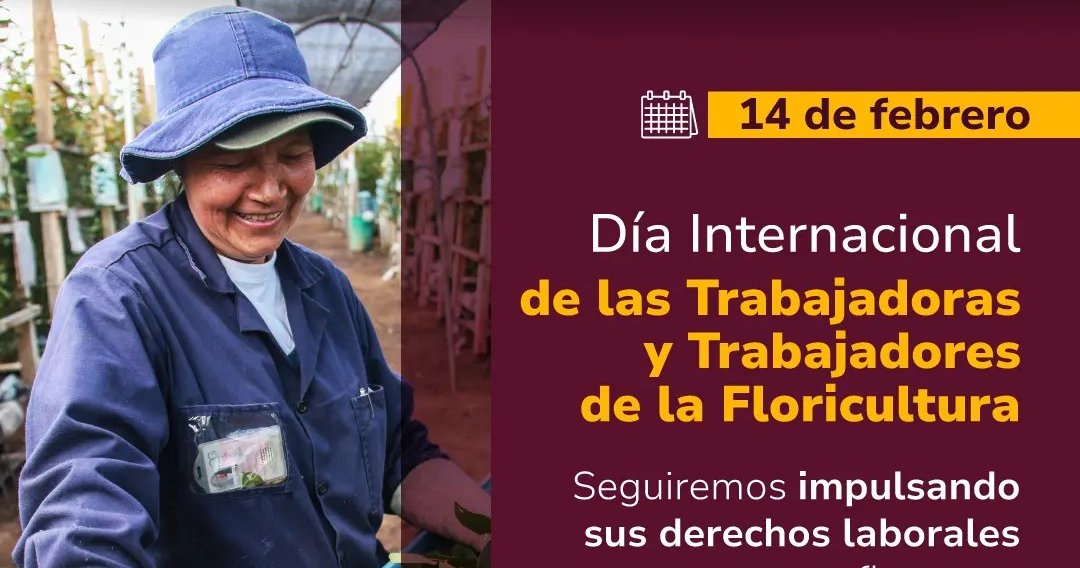 Colombia: Ministerio del Trabajo realiza inspección a cultivo de flores ...