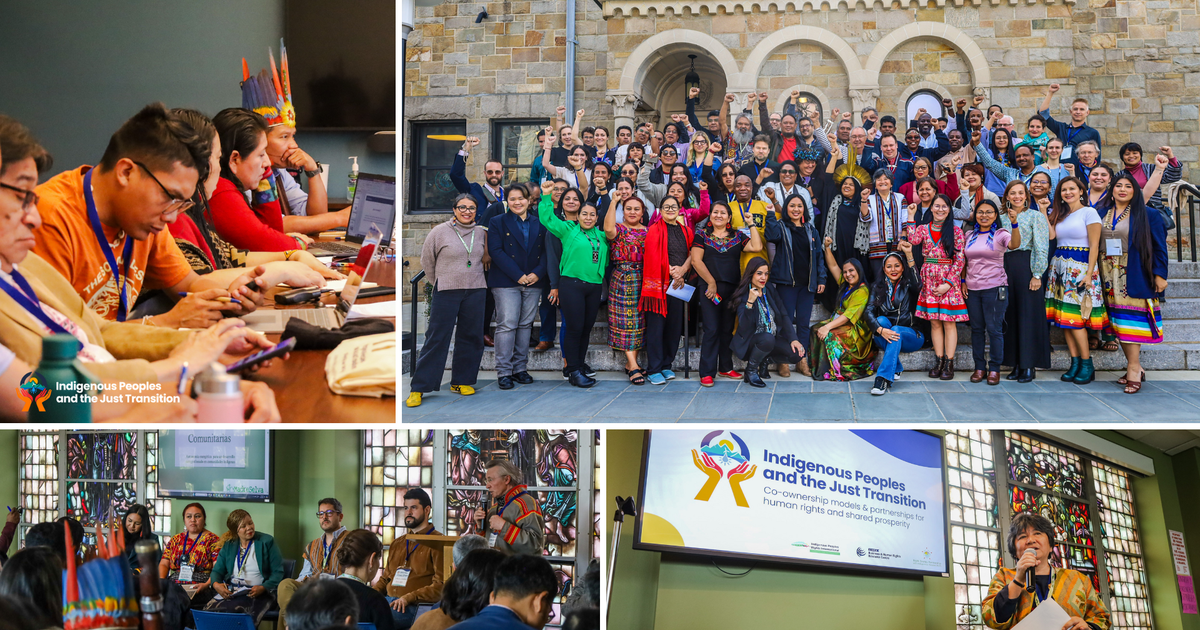 Indigenous Peoples call for respect for their rights, participation ...