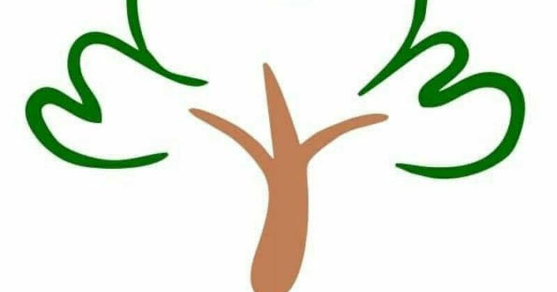 Mopani Copper Mines Plc (Part of ZCCM Investments) - Business & Human ...