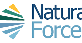 Natural Forces - Business and Human Rights Centre