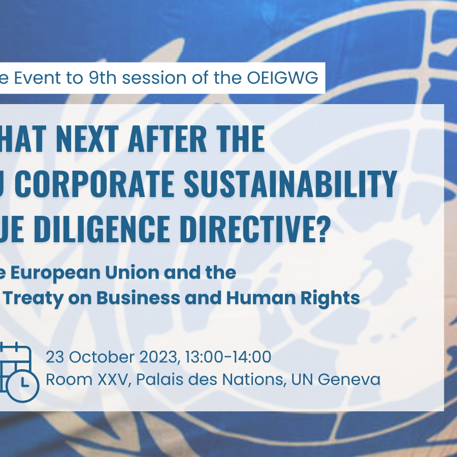 What next after the EU Corporate Sustainability Due Diligence Directive ...