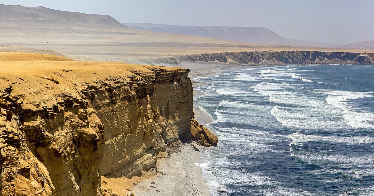 Peru: Mongabay investigation reveals alleged irregularities in the ...