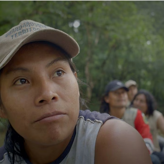 Nicaragua: Cortometraje documenta deforestación y desplazamiento ...