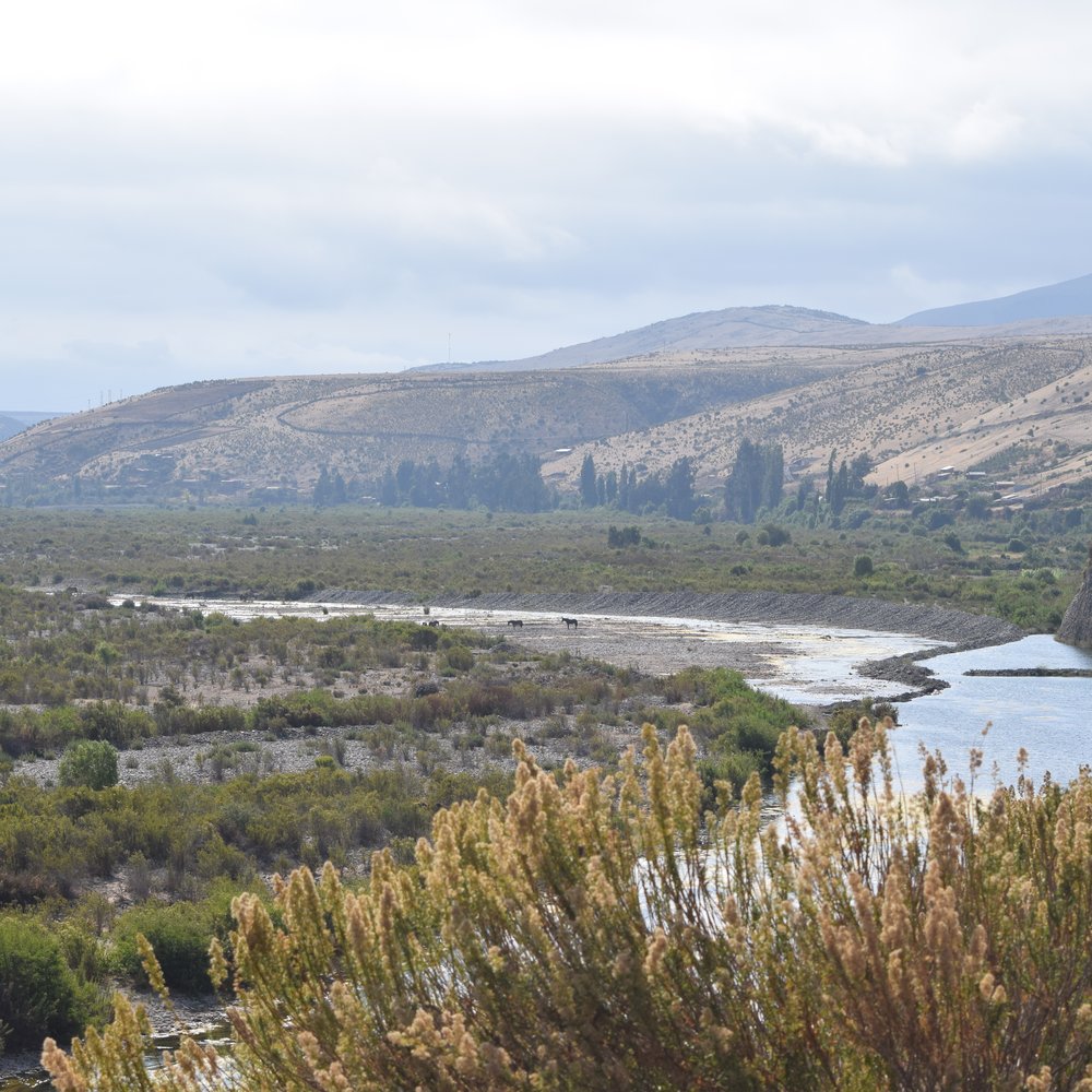 Chile: Primer Tribunal Ambiental rechaza demanda en contra de Minera ...