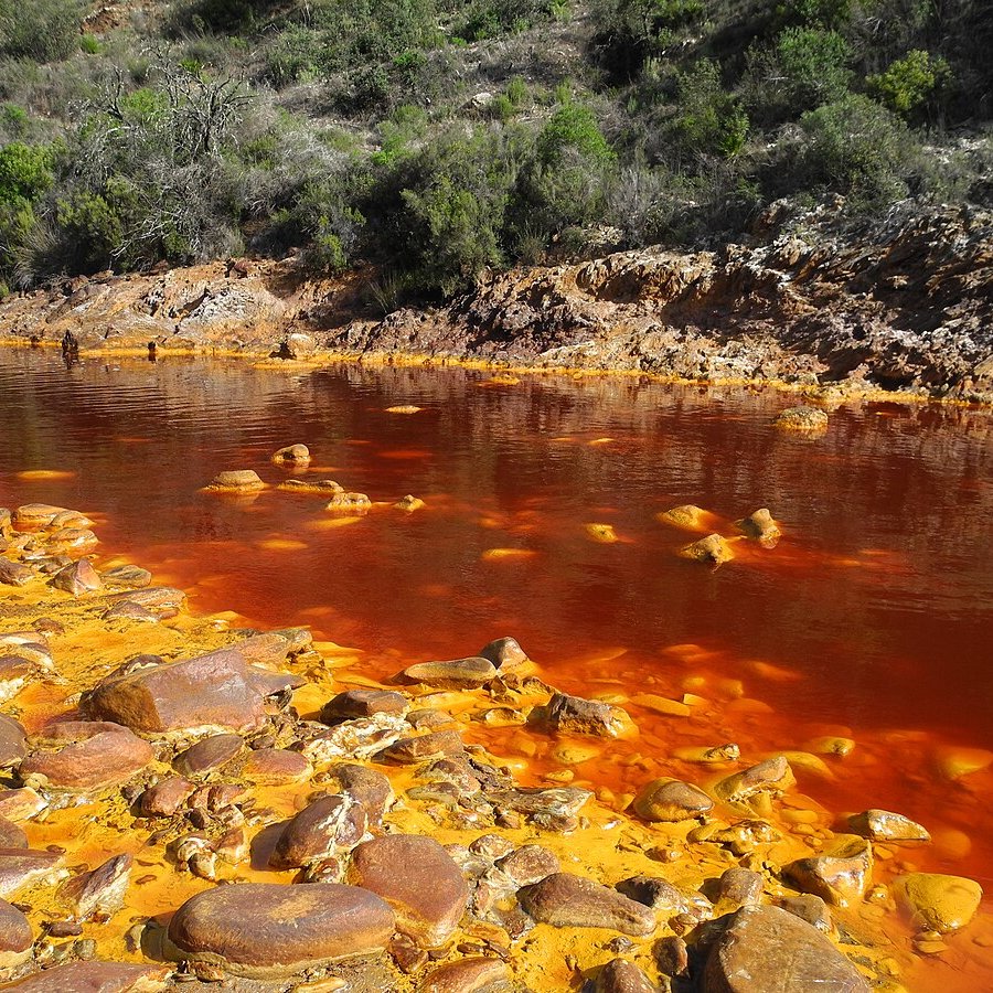 Bolivia: Secretaría de la Madre Tierra de Potosí reporta el aumento de ...