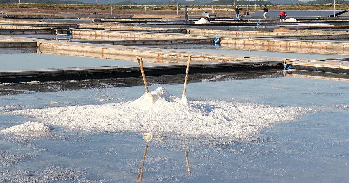 S.Korea: New salt farm forced labour cases linked to persons with ...
