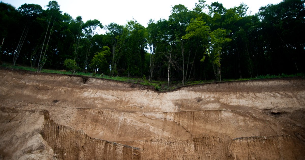 Weekly Update 6 November | Brazil: Isolated Indigenous Peoples at risk ...