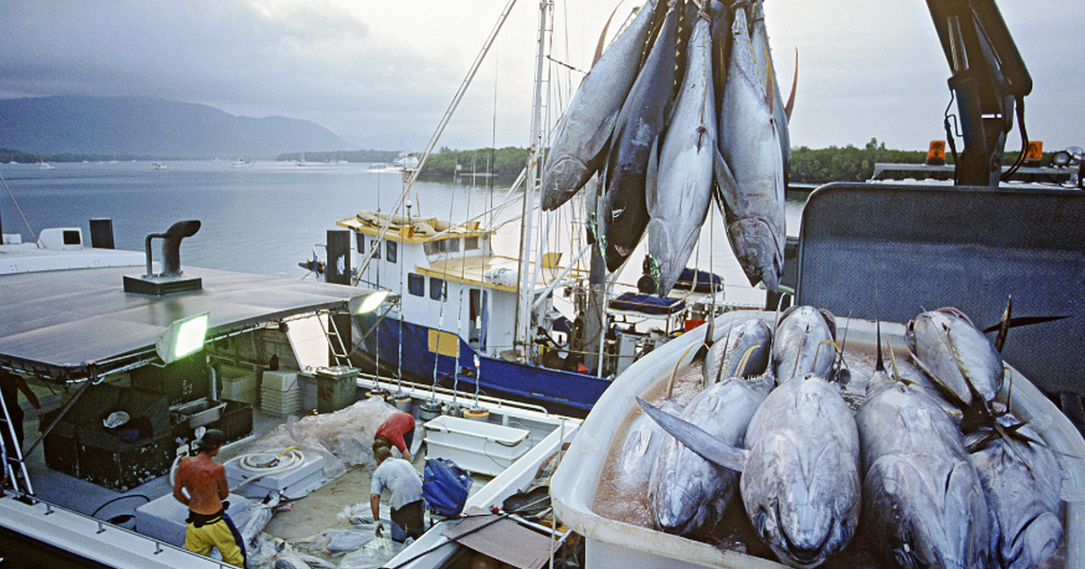 USA: Court denies request to order changes to Bumble Bee Foods' supply ...