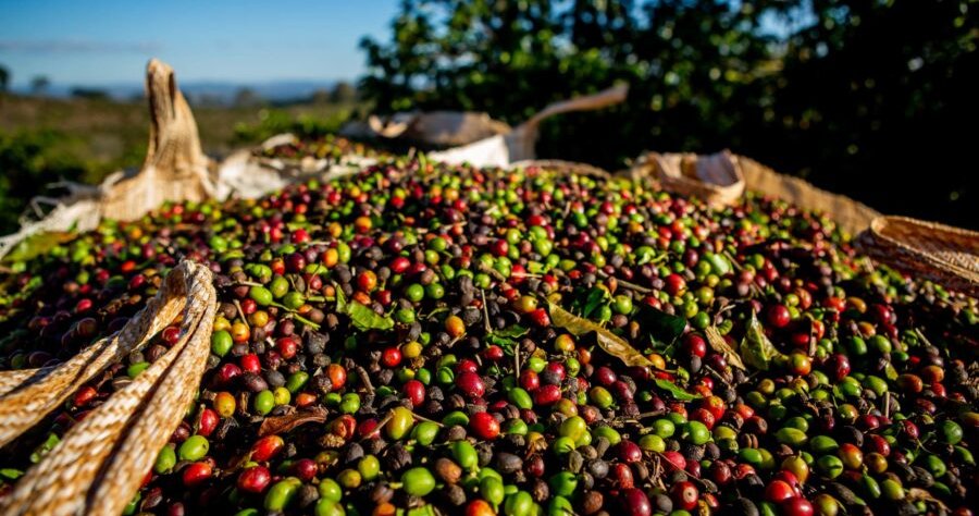 Costa Rica: Country’s long-standing standards gave it a head start on ...
