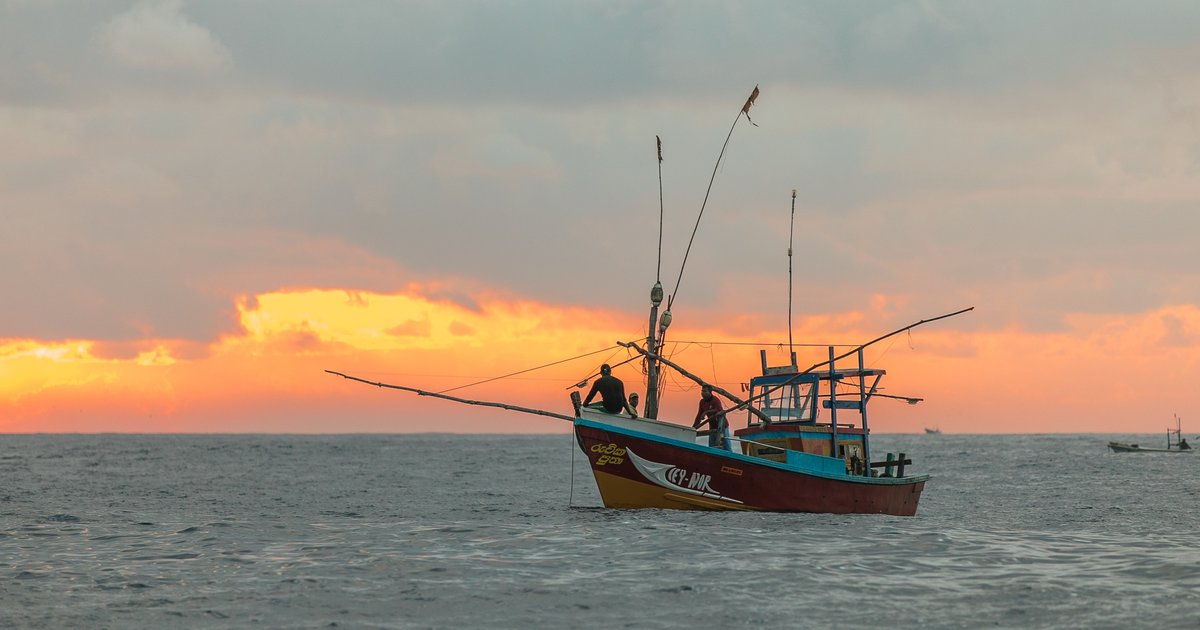 UK: Forced labour, incl. of migrants, connected to multi-stakeholder ...