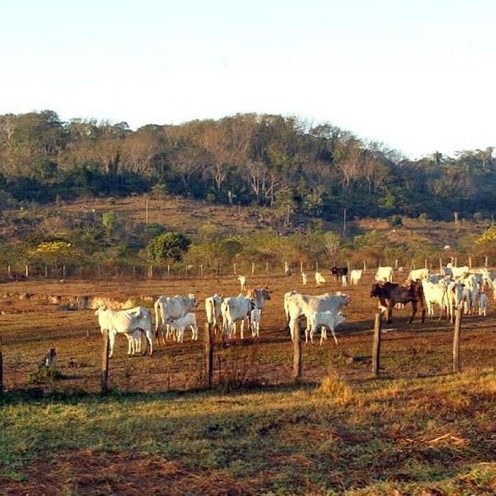 Brazil: Minister intervenes in investigation into JBS forced labour and ...