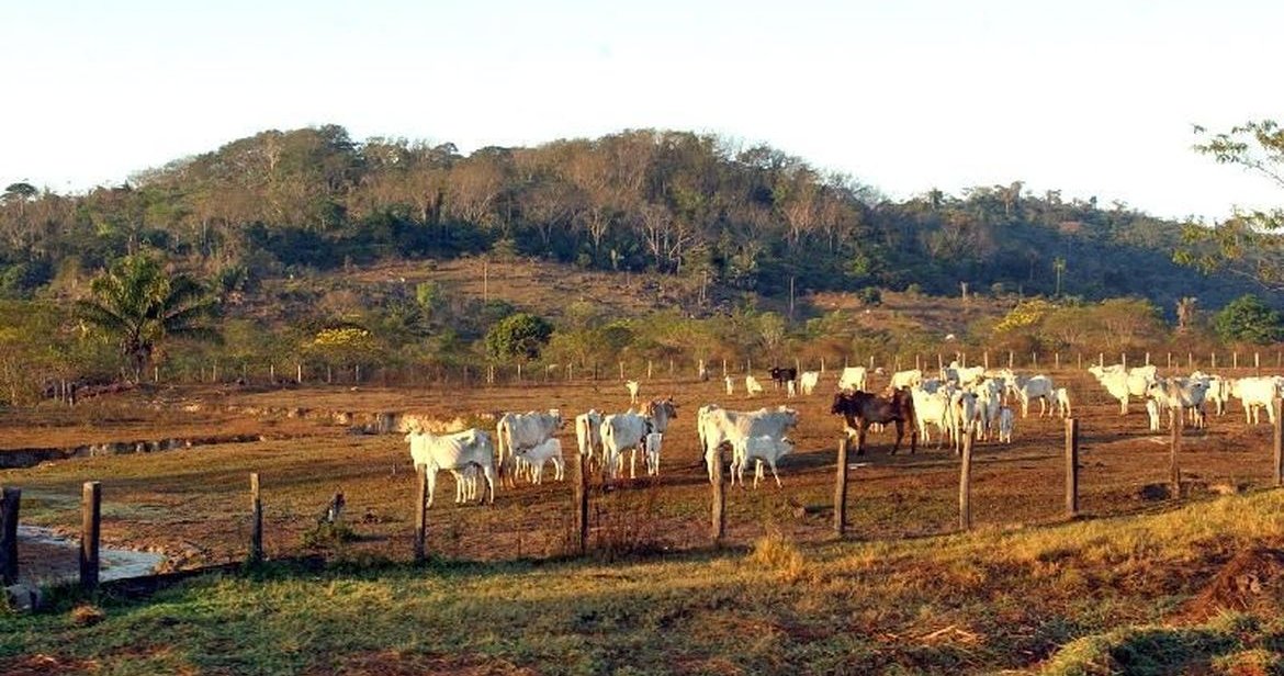 Brazil: Minister intervenes in investigation into JBS forced labour and ...