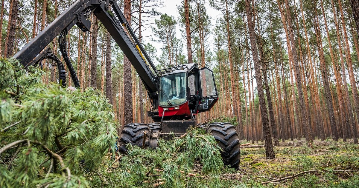 EU: Amendments to EUDR could harm efforts to block Russian and ...