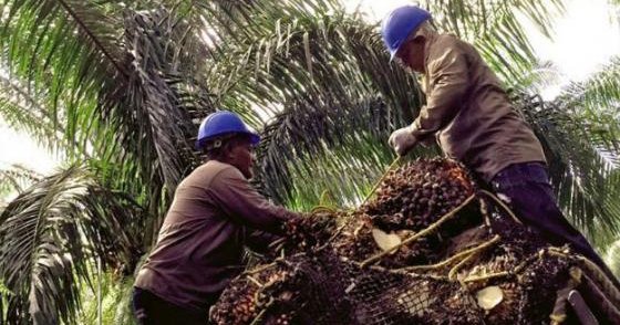 Africa: An investigation uncovers widespread human rights violations ...