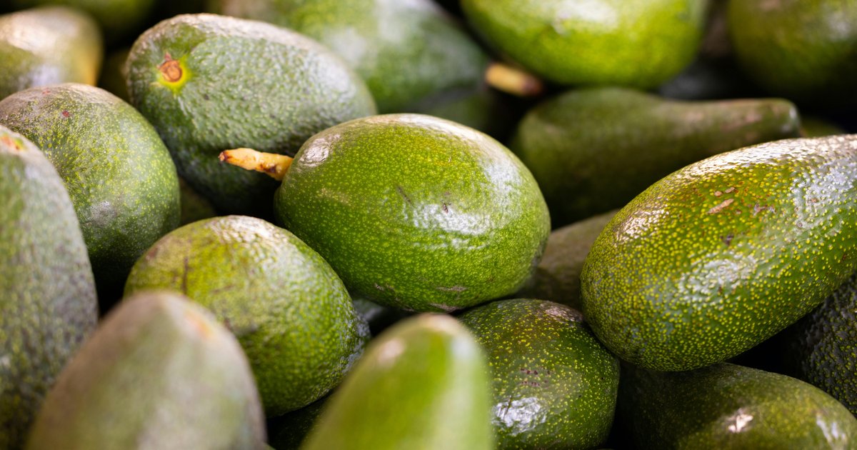 Mexico: Calavo Growers, Fresh Del Monte Produce, Mission Produce and ...