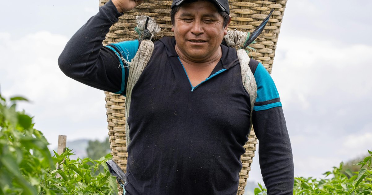 México: Reforma laboral busca mejorar las condiciones de trabajo en los ...