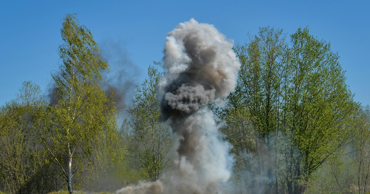 Honduras: La Fiscalía presenta denuncia contra Inversiones Los Pinares ...