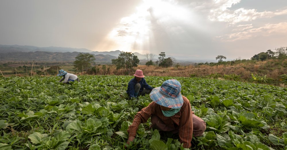 WBA benchmarks find fewer than 10% of world's most influential ...