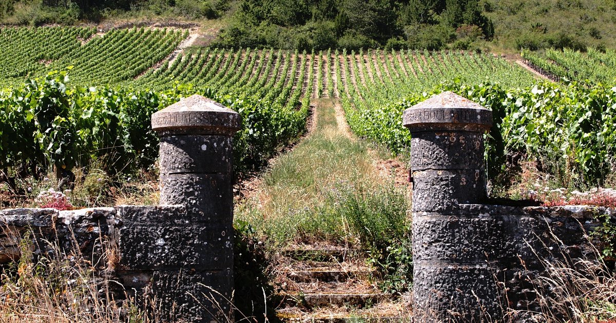 France: Champagne sales surge amid scandals over migrant worker abuses ...