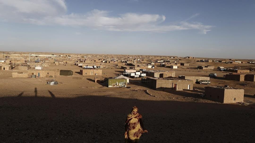 Western Sahara: NGO & MEPs call on companies to respect law & avoid ...